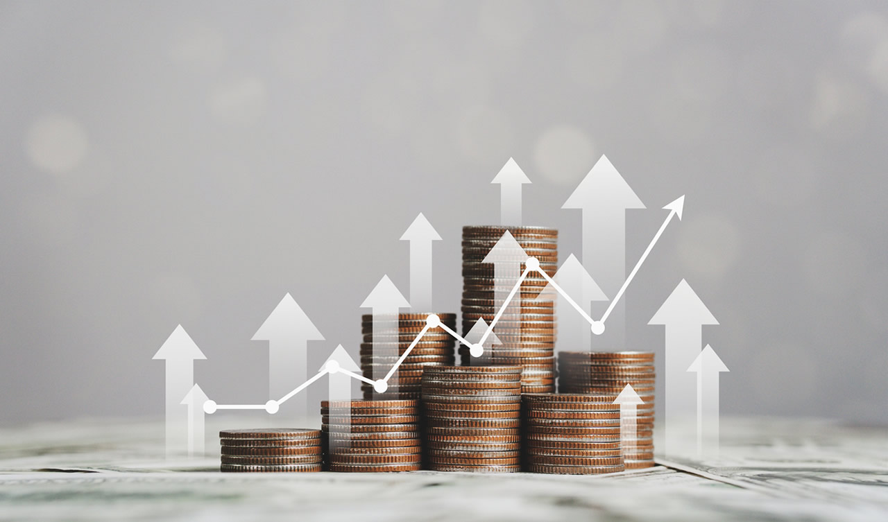 Investment Advisory Management - MetroKapital & Trades Management Ltd